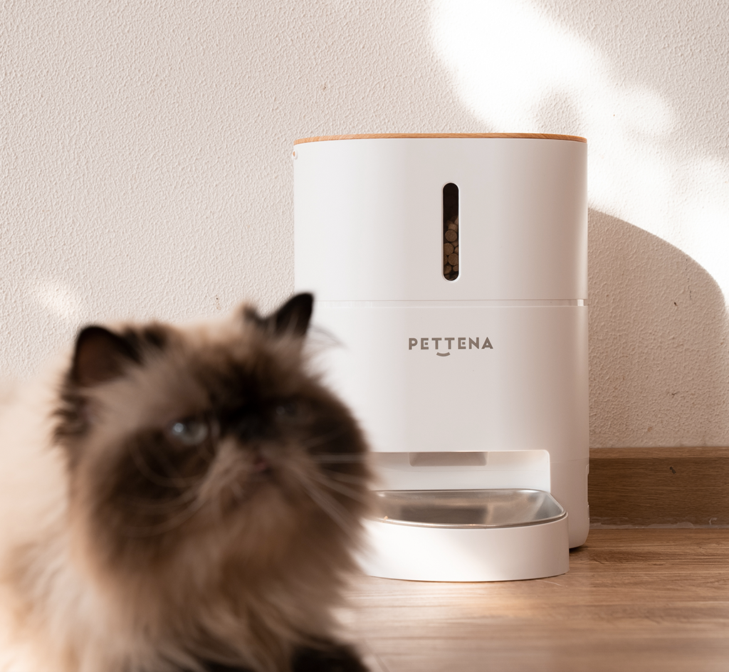 2-1-1 – ブログ記事 – PETTENA（ペテナ）