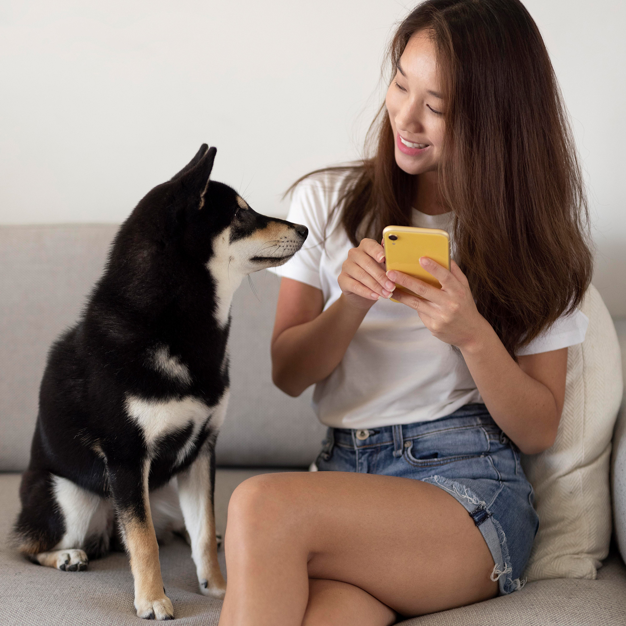 6-3 – ブログ記事 – PETTENA（ペテナ）