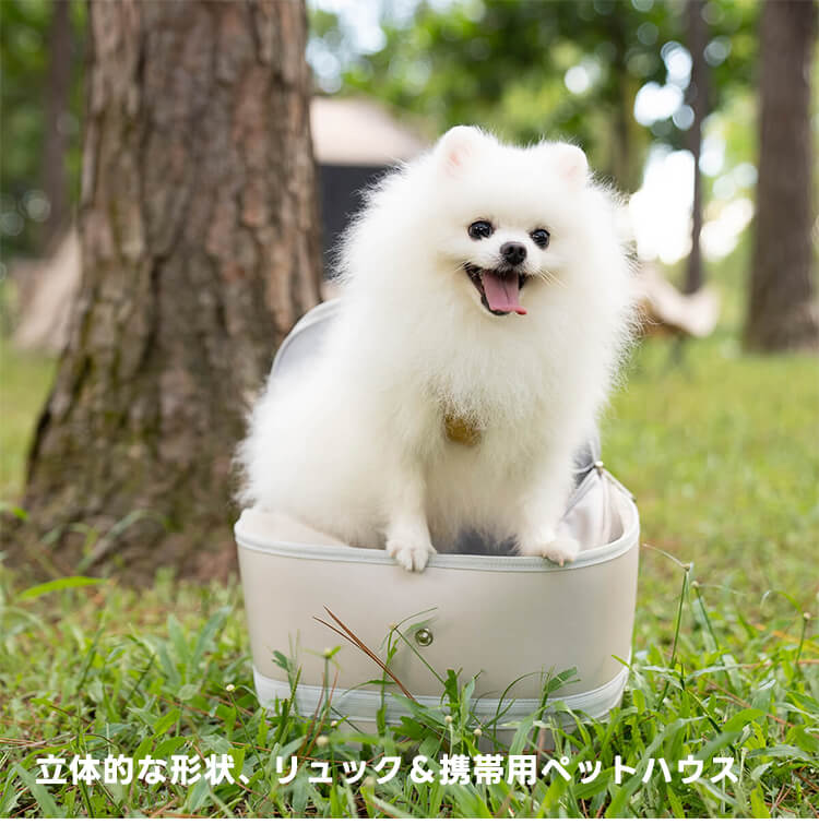 新発売 – ブログ記事 – PETTENA（ペテナ）